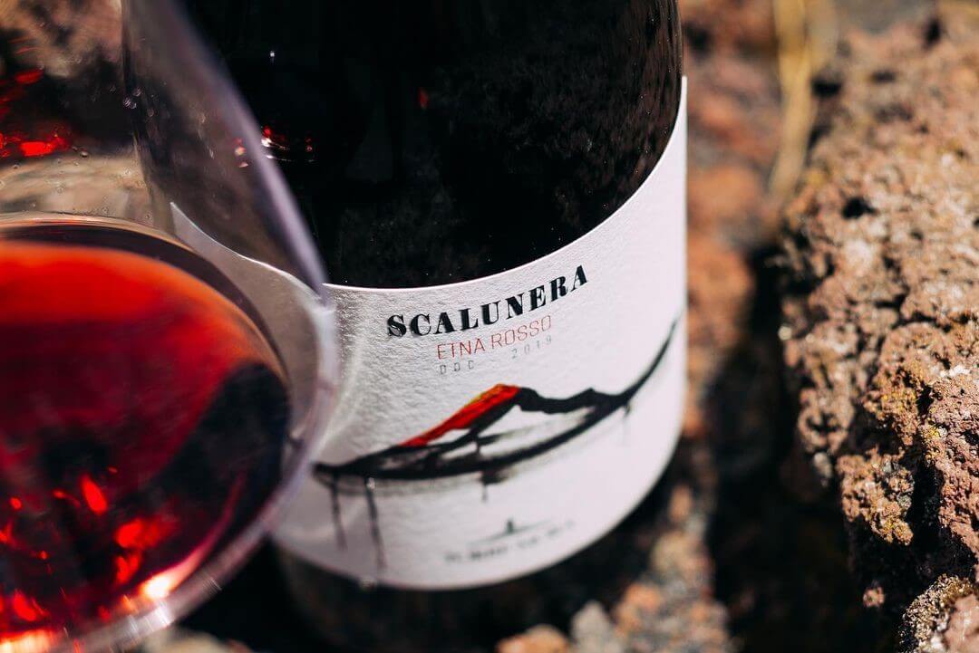 Red Wines – Medovino